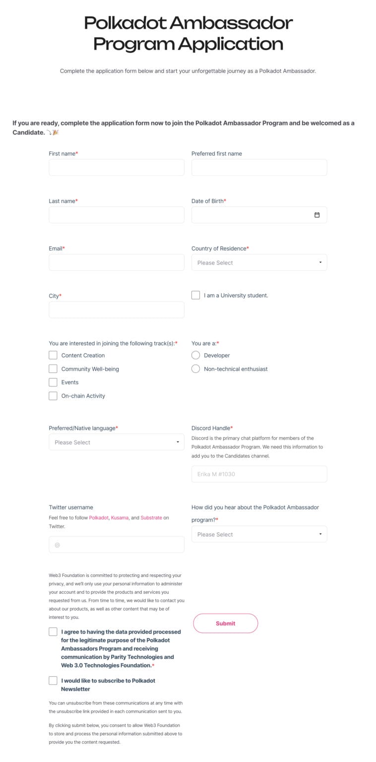 Introduction To Polkadot Ambassador's Programme | DescribeDot